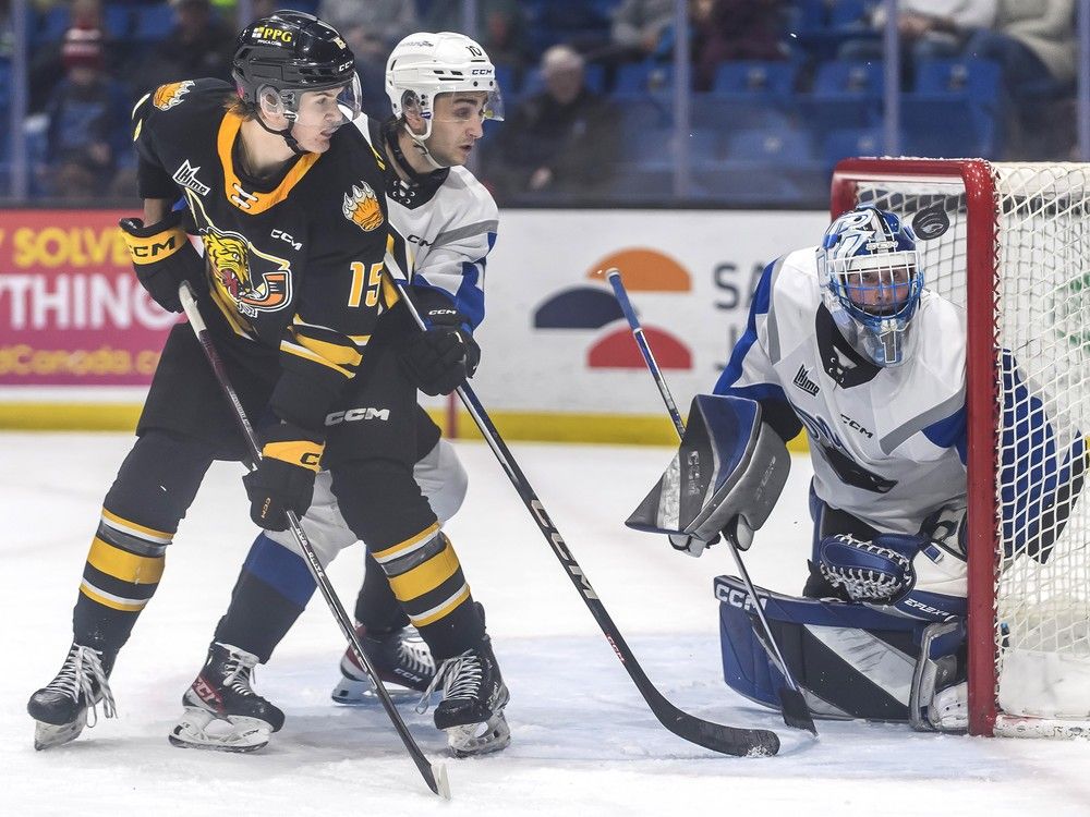 QMJHL battle features two top Maritimes teams | Telegraph-Journal
