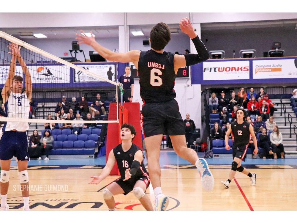 Saint John to host ACAA Volleyball Championships | Telegraph-Journal