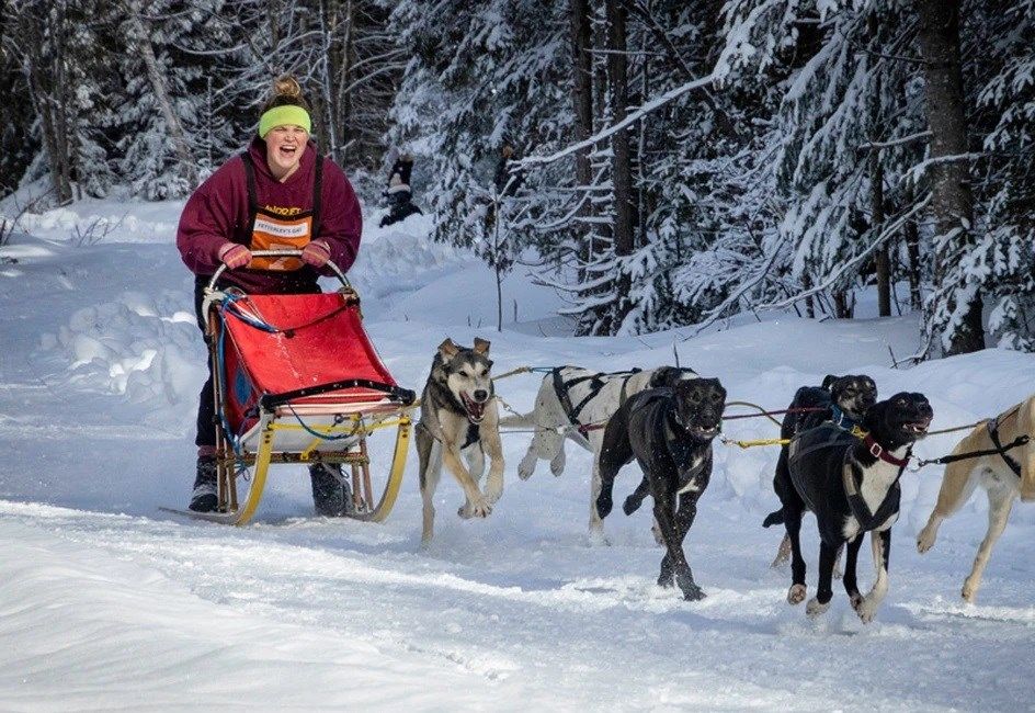 Kearney Dog Sled Races celebrating 30th anniversary | North Bay Nugget