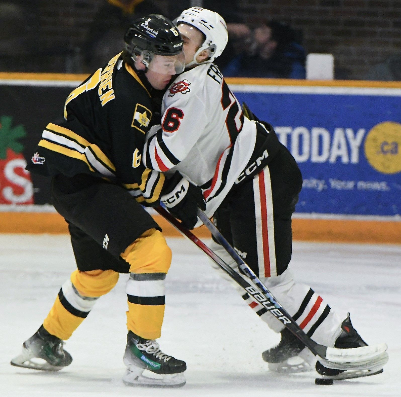 Cellar-dwelling Ice Dogs take a bite out of Battalion | North Bay Nugget