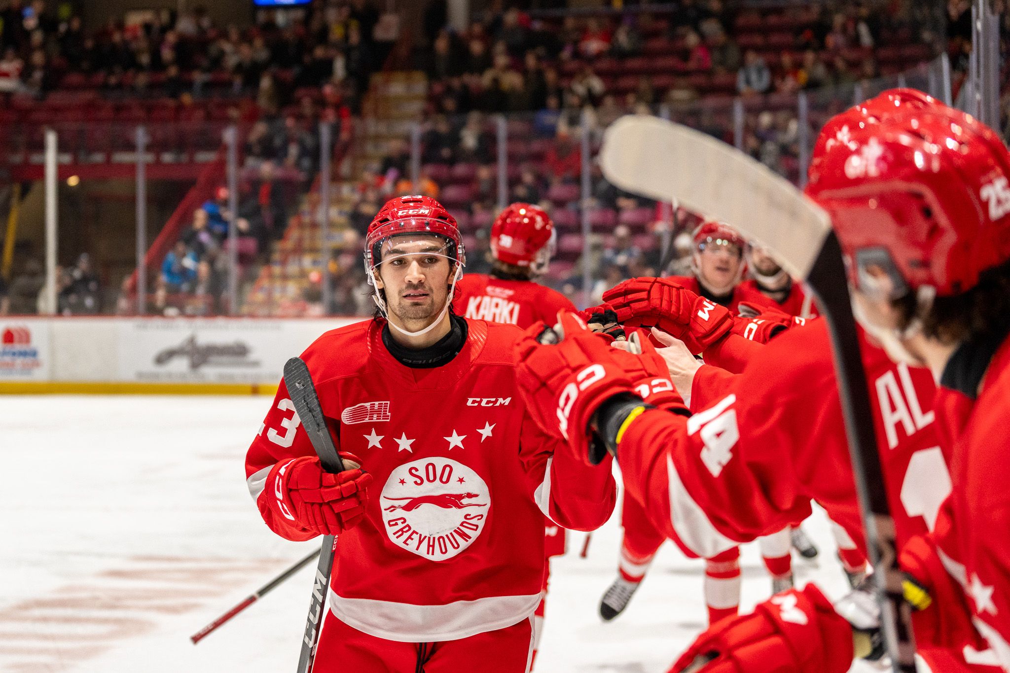 Glory days of Gavin Hayes | Sault This Week