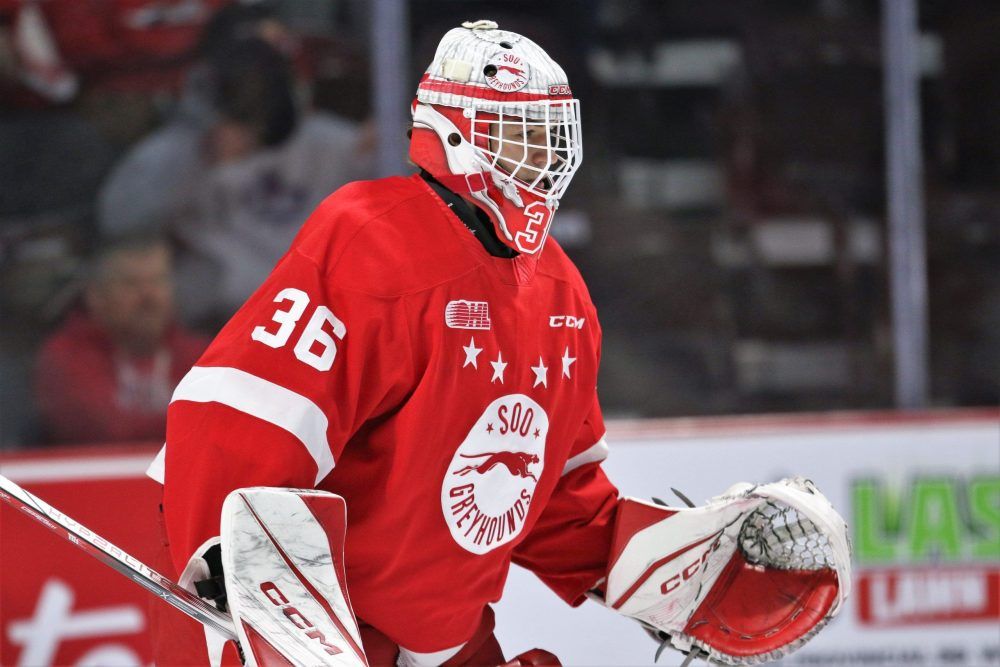The Soo Greyhounds face the Guelph Storm in OHL on Friday night | Sault ...