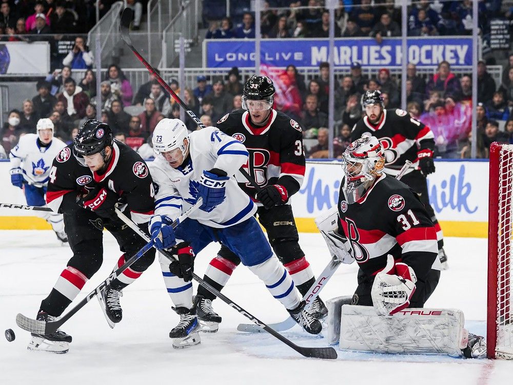 Belleville Senators wrap 2023 with wins in four of five games ...