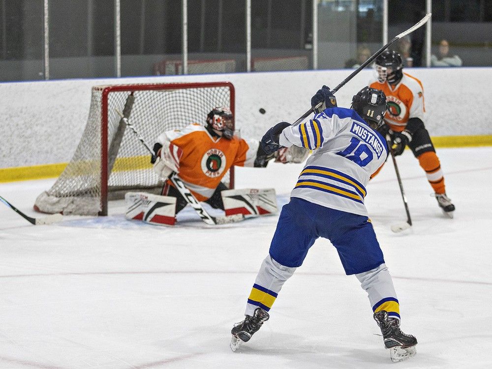 Mustangs boys hockey team on three-game win streak | Brantford Expositor