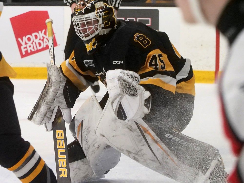 Bulldogs' Drobac named OHL Goaltender of the Week | Brantford Expositor