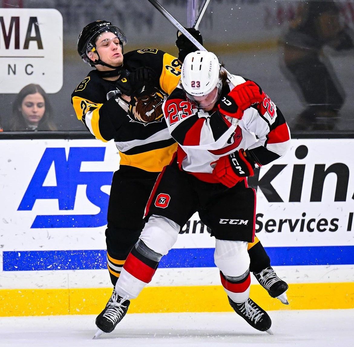 Bulldogs stretch win streak to six games | The Sarnia Observer