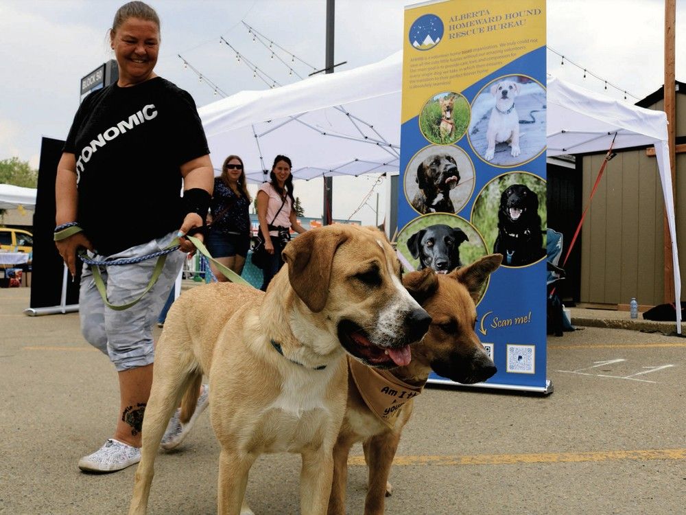 Block 50 hosting third annual Pet Fair May 25 | Leduc Representative