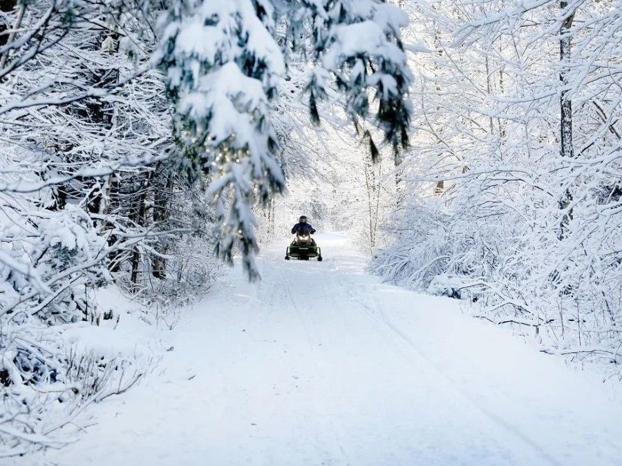 Snowmobiler seriously injured after striking tree near Cartier ...