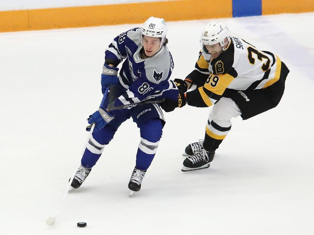 Wolves win canine clash, take sole possession of first in conference ...