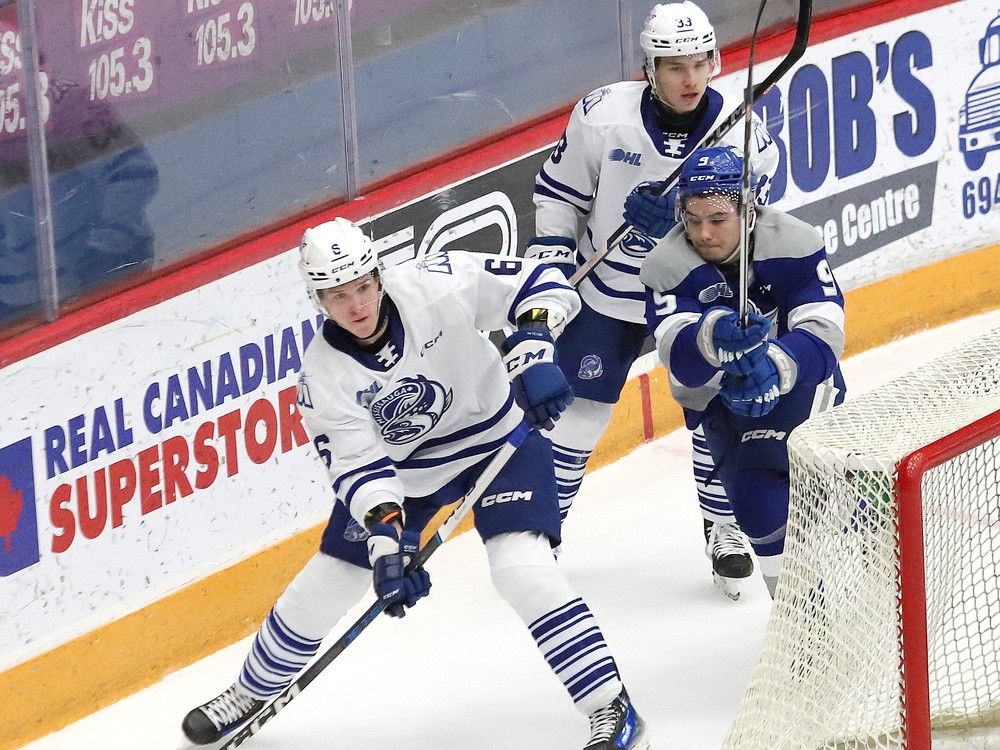 Wolves debut special for Van Vliet, fellow newcomers despite defeat ...