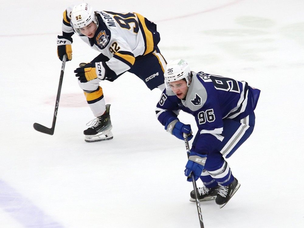Whack A Mole Wolves Showing Their Depth On Offence Sudbury Star