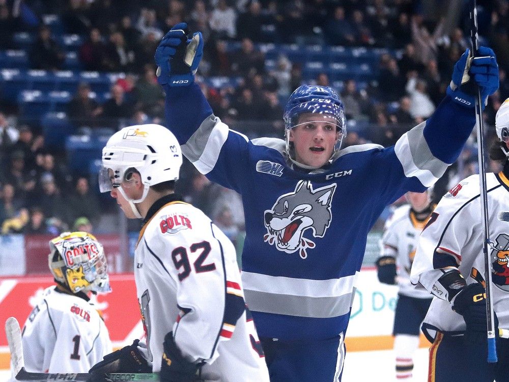 Dvorsky powers Sudbury Wolves to 6-3 win over Barrie Colts | Sudbury Star