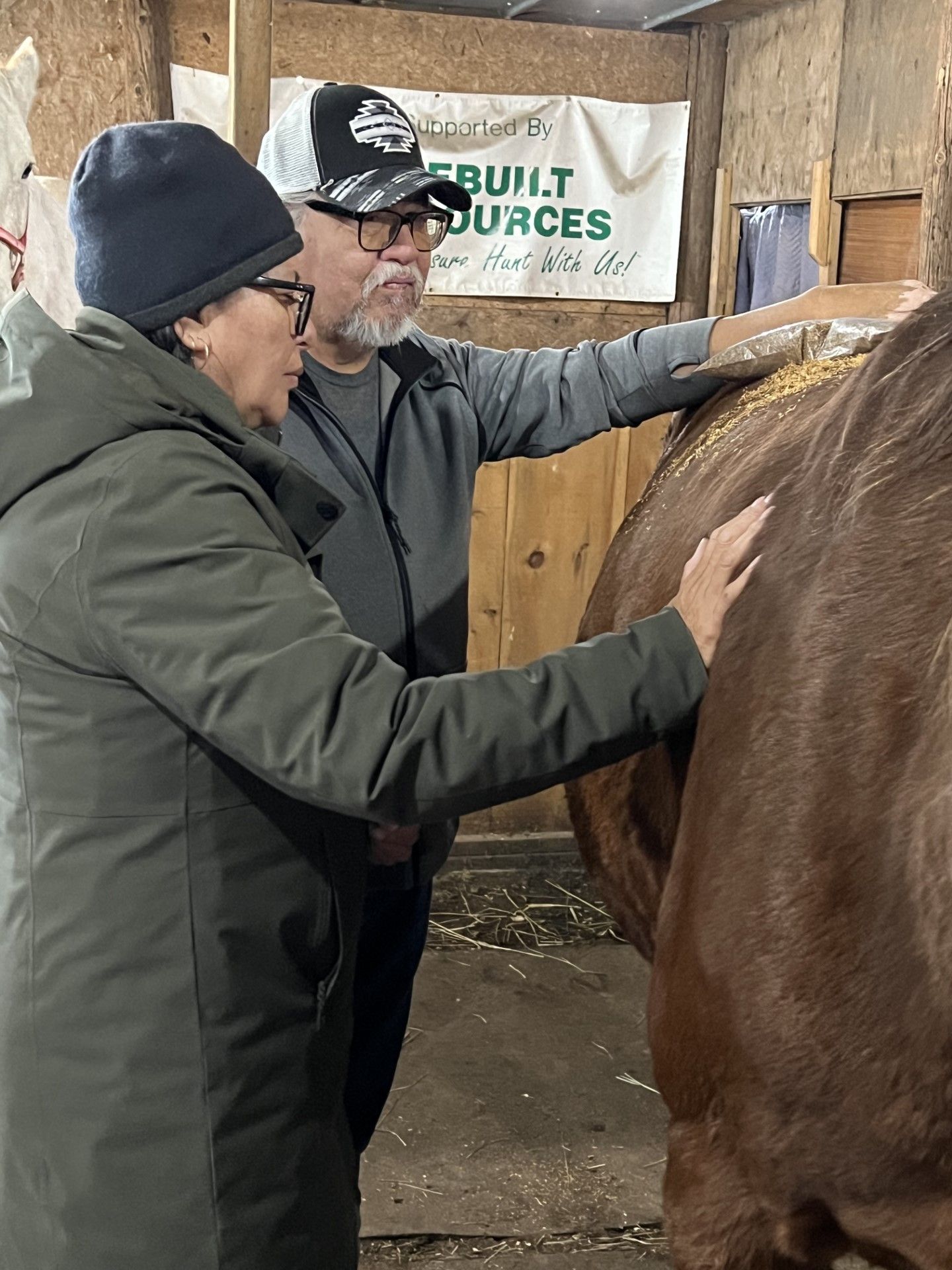 A unique "Healing with Horses' training course is coming to Corbeil ...