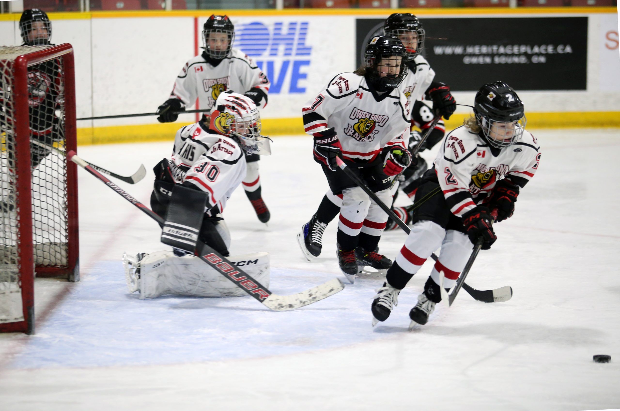 Junior Attack team rebounds from demotion with undefeated run | Owen Sound Sun Times