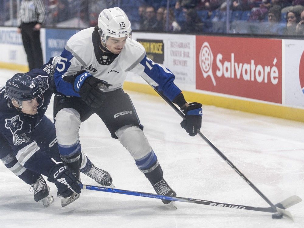 Sea Dogs forward using 49ers QB as inspiration | Telegraph-Journal