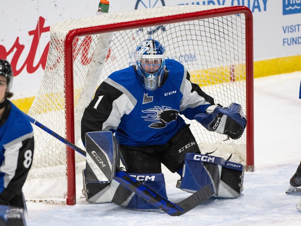 Leaver making a mark with Sea Dogs in Saint John crease | Telegraph-Journal