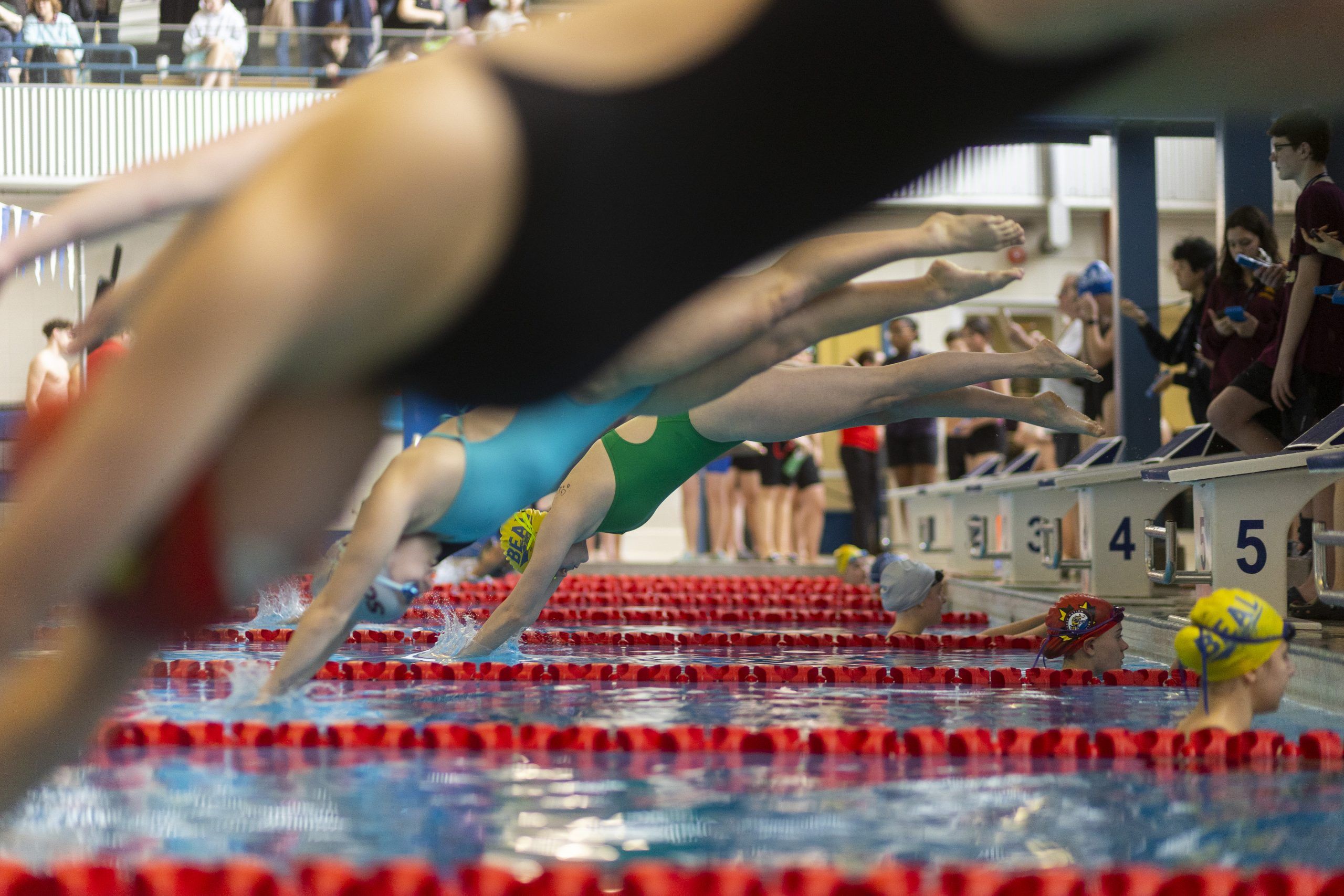 Stratford Golden Bears qualify record 11 for OFSAA swimming | The ...