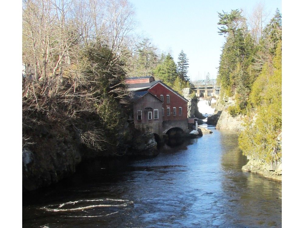 David Goss: March Madness | Telegraph-Journal