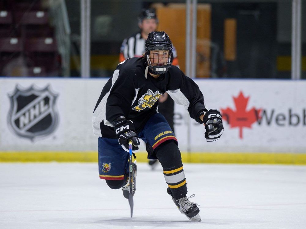 Sting sign physical defenceman Andersen | The Sarnia Observer