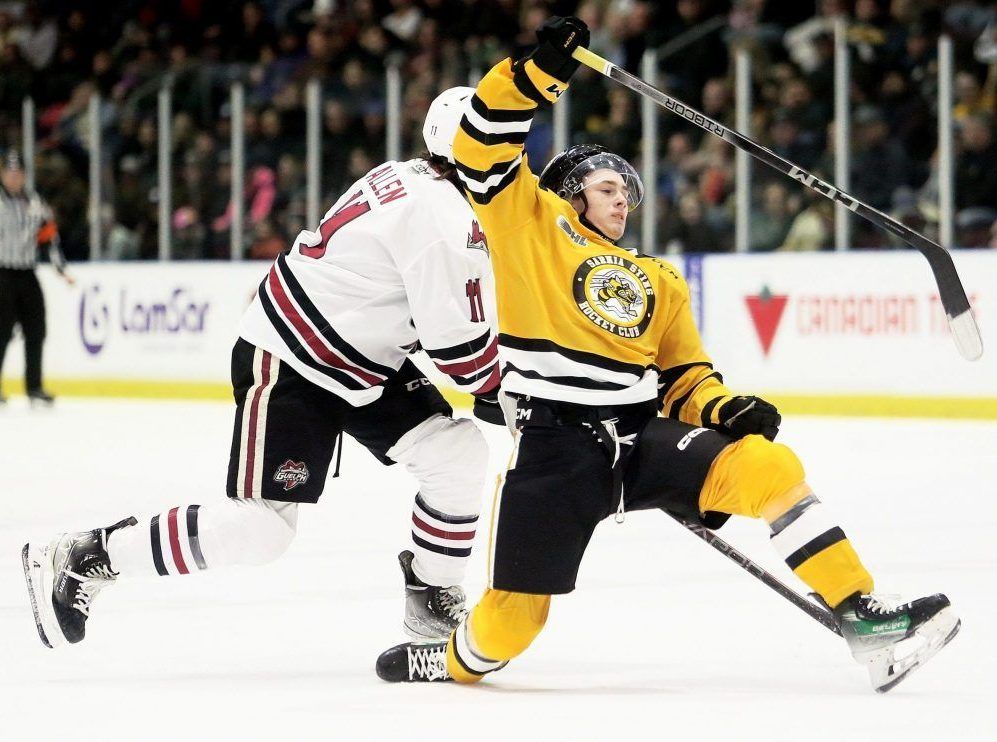 Wainwright's overtime goal lifts Sting to comeback win | The Sarnia ...