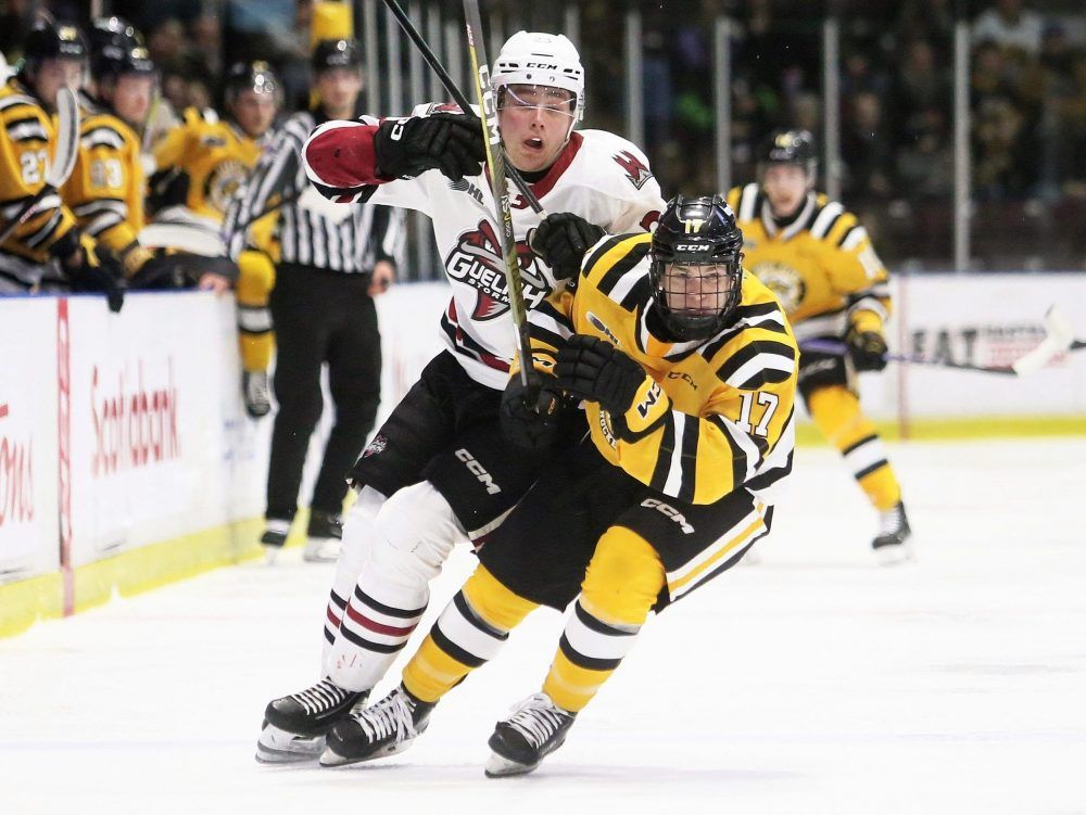 Wainwright's overtime goal lifts Sting to comeback win | The Sarnia ...