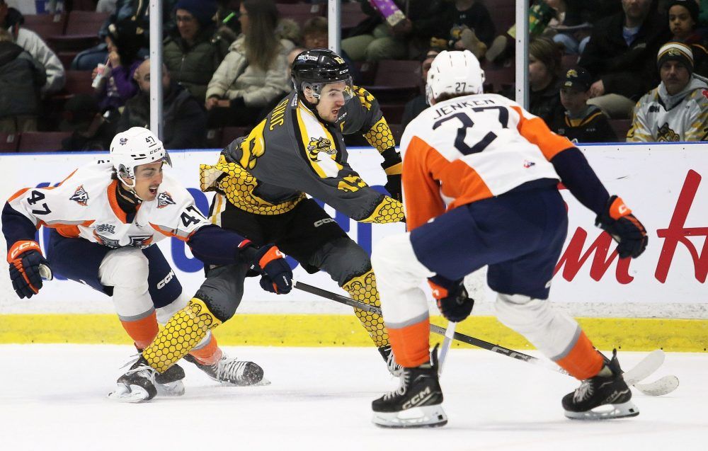 Sting fall flat in second straight loss to Firebirds | The Sarnia Observer