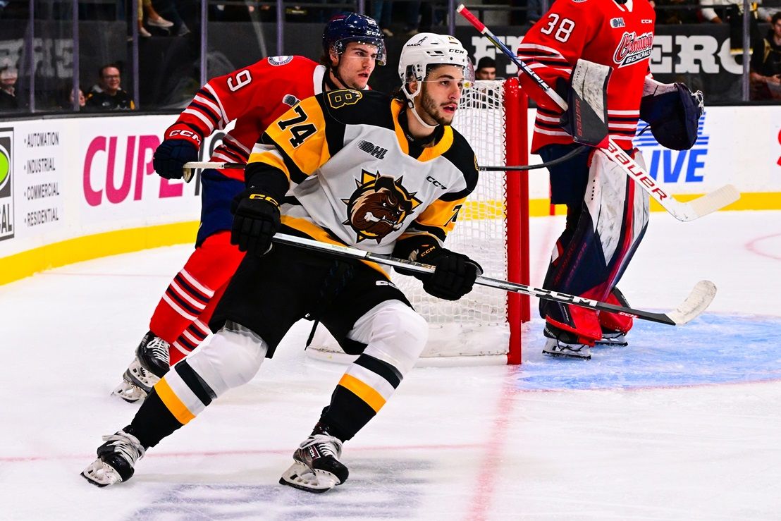 Rebelo plays vital role for Bulldogs | Brantford Expositor