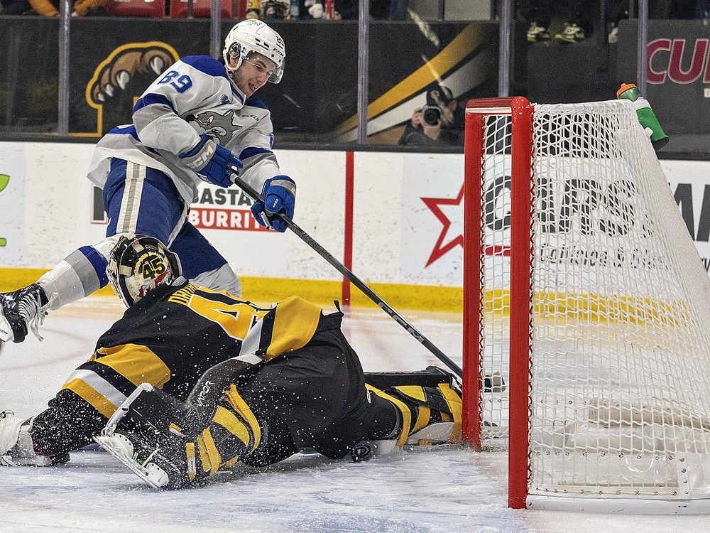 Wolves start strong, stumble on special teams in loss to Bulldogs ...