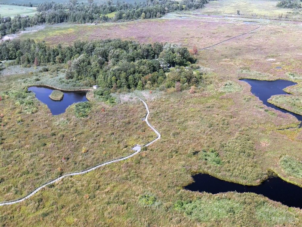 Briefs: New ponds, channels at Cooper Marsh | Cornwall Standard-Freeholder