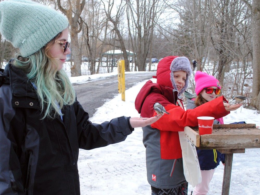 Celebrating World Wetlands Day at the Cooper Marsh in South Lancaster ...