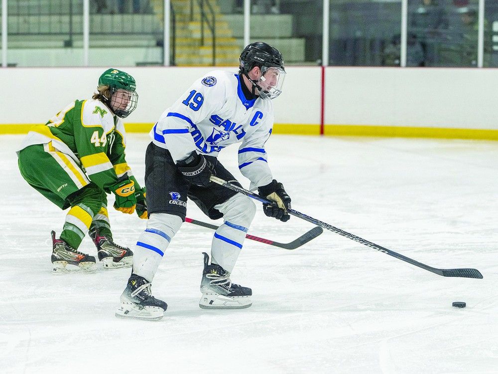 Bob Davies | Sault This Week