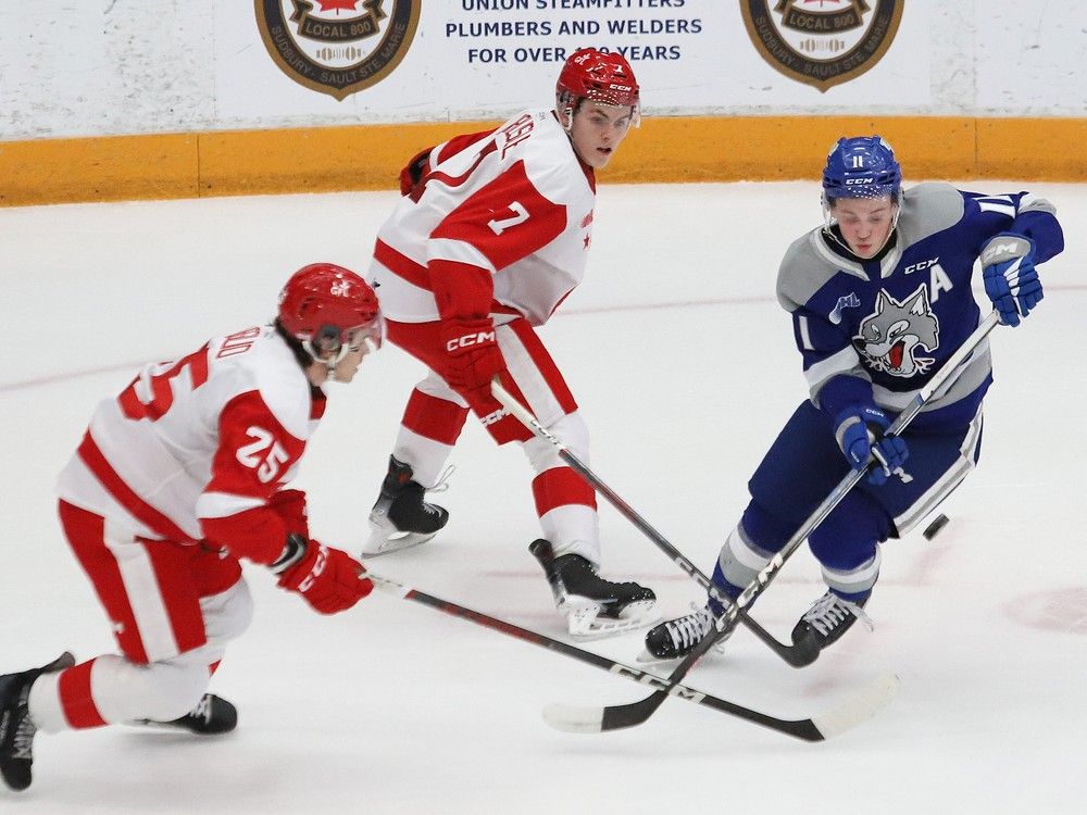 Gallery added: McCoy scores two as Wolves storm back to beat Soo ...