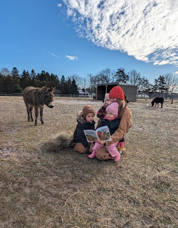 Tillsonburg News | Latest Local Headlines | Tillsonburg News