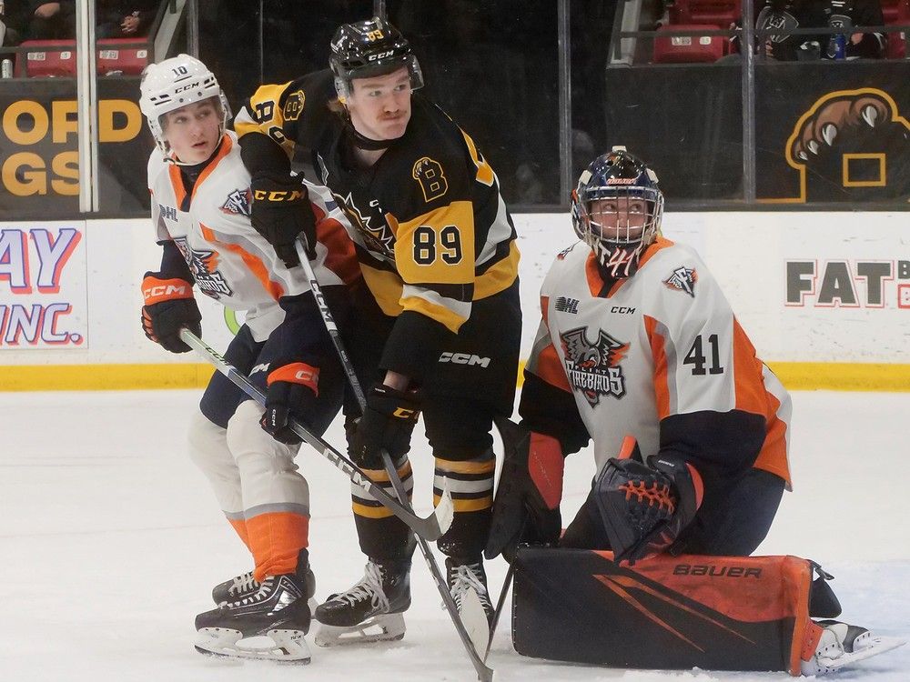 Firebirds score 3-1 win against Bulldogs | Brantford Expositor
