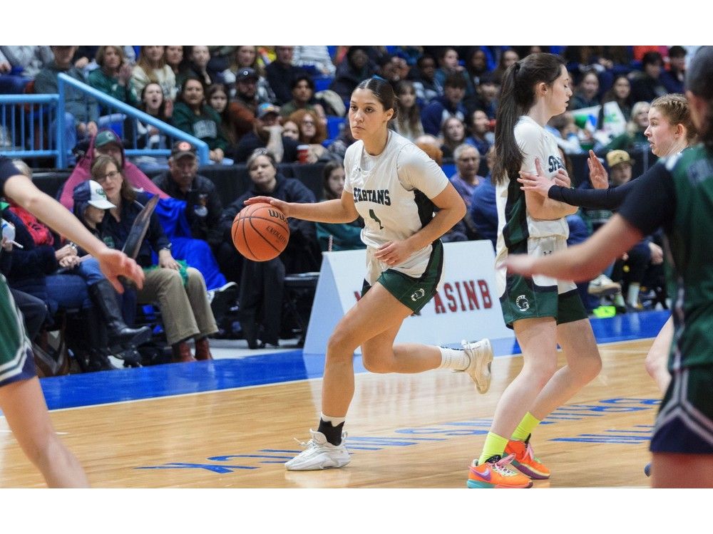 Carleton All Star Cheerleading returning to world stage | Telegraph-Journal