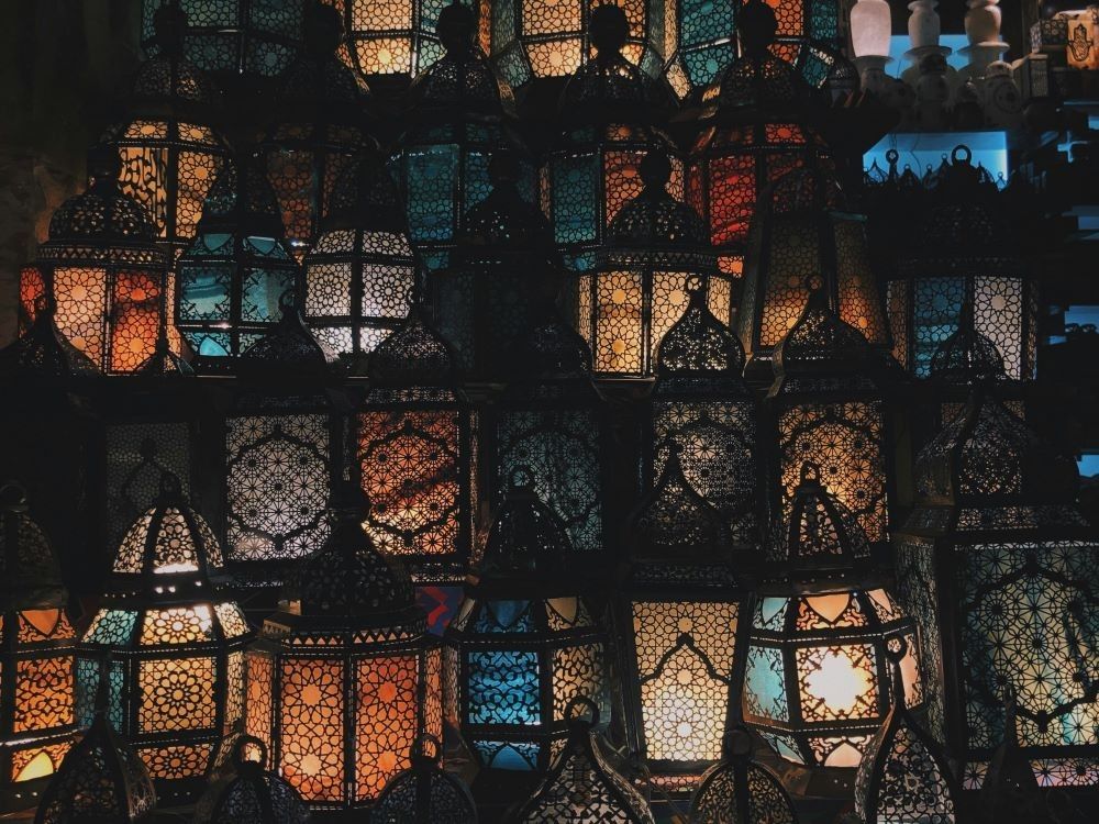 Newcomers column | Telegraph-Journal