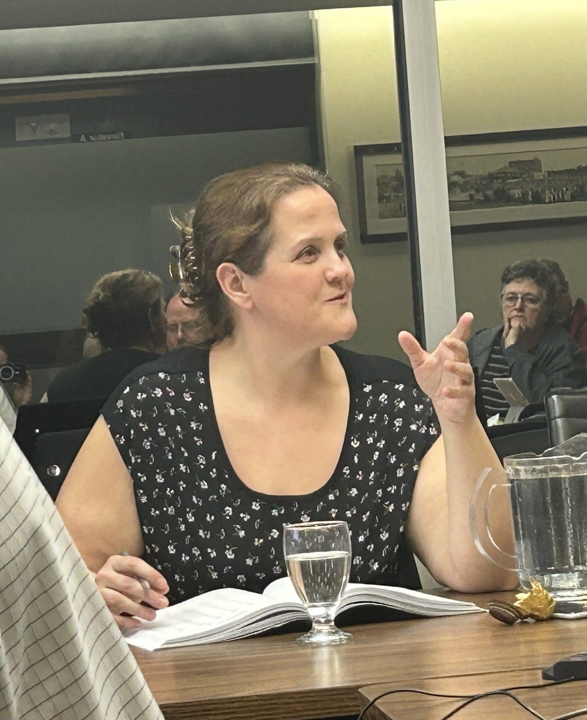 North Bay council also want access to a lawyer | North Bay Nugget