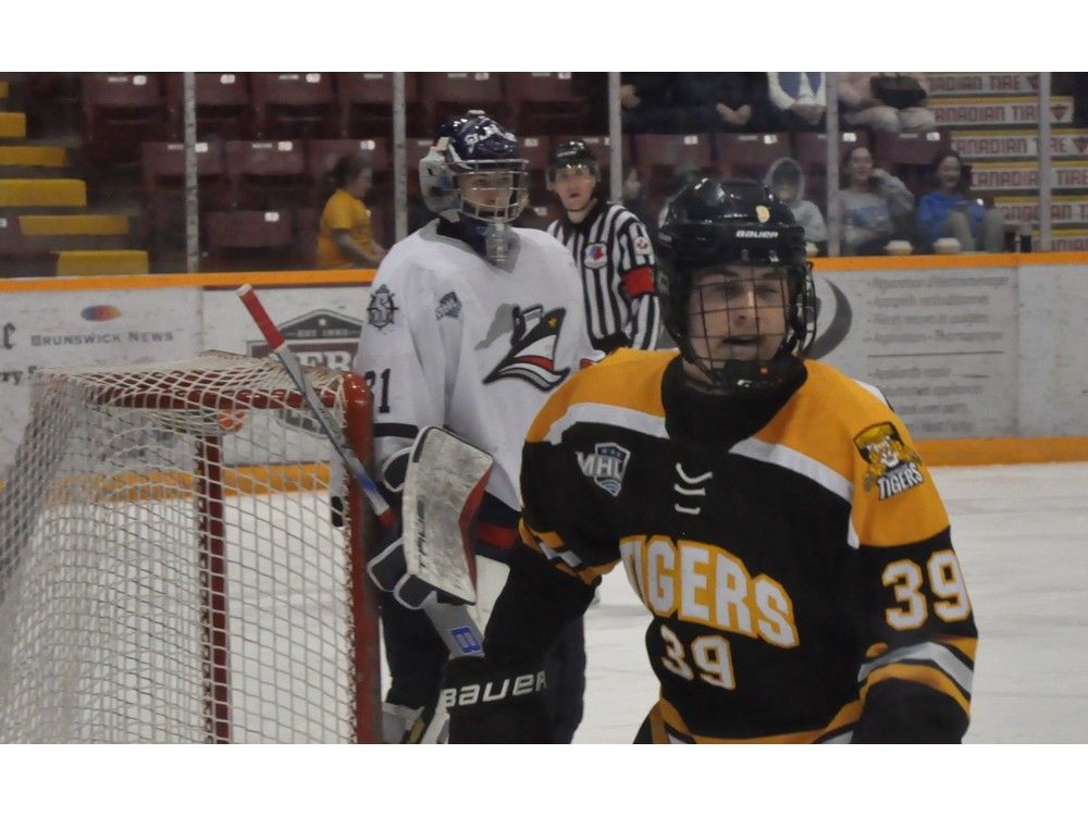 Tigers split final two games of the season | Telegraph-Journal