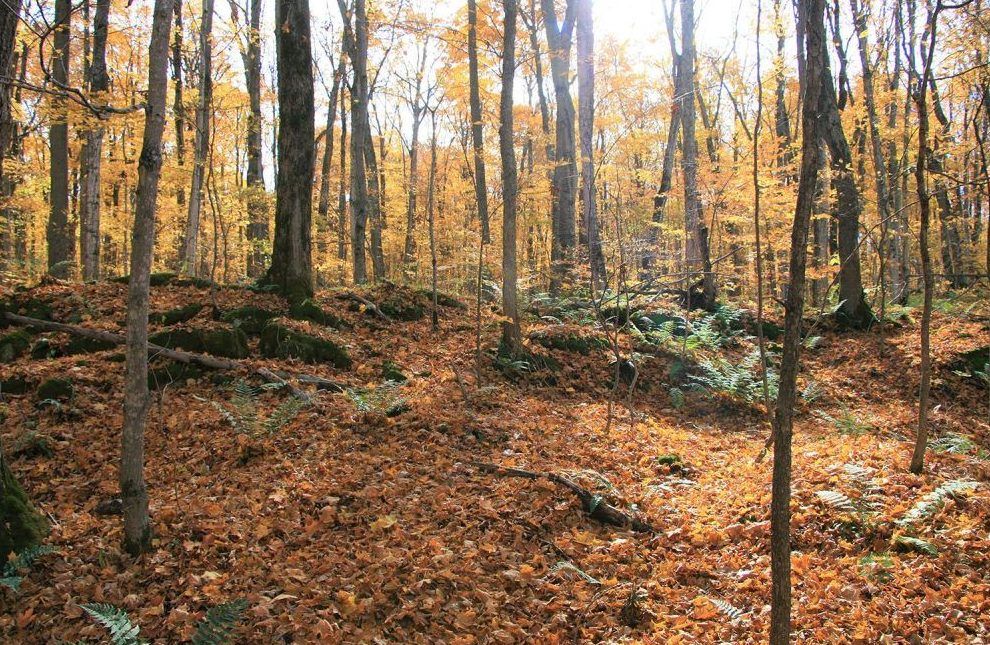 New nature reserve established at Hope Bay | Owen Sound Sun Times