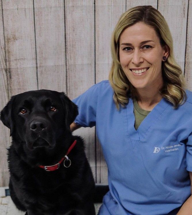 Veterinarian says workforce shortage putting animals, people at risk ...