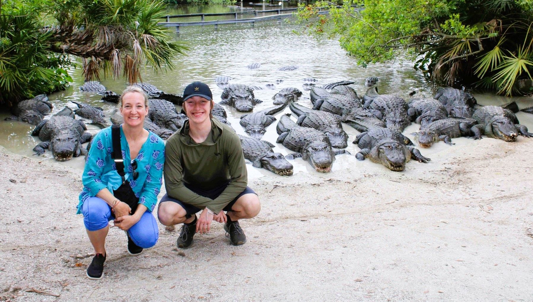 ROBINSON: Alligator encounters of the Orlando kind | Sudbury Star