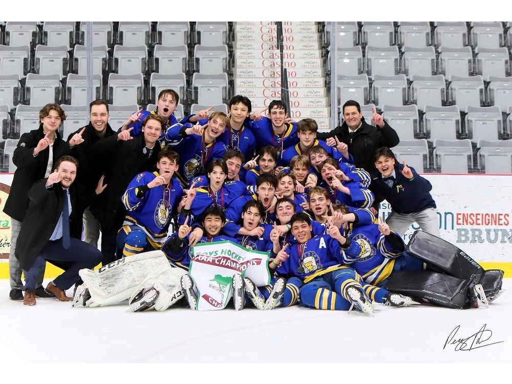High school hockey provincial champions crowned | Telegraph-Journal