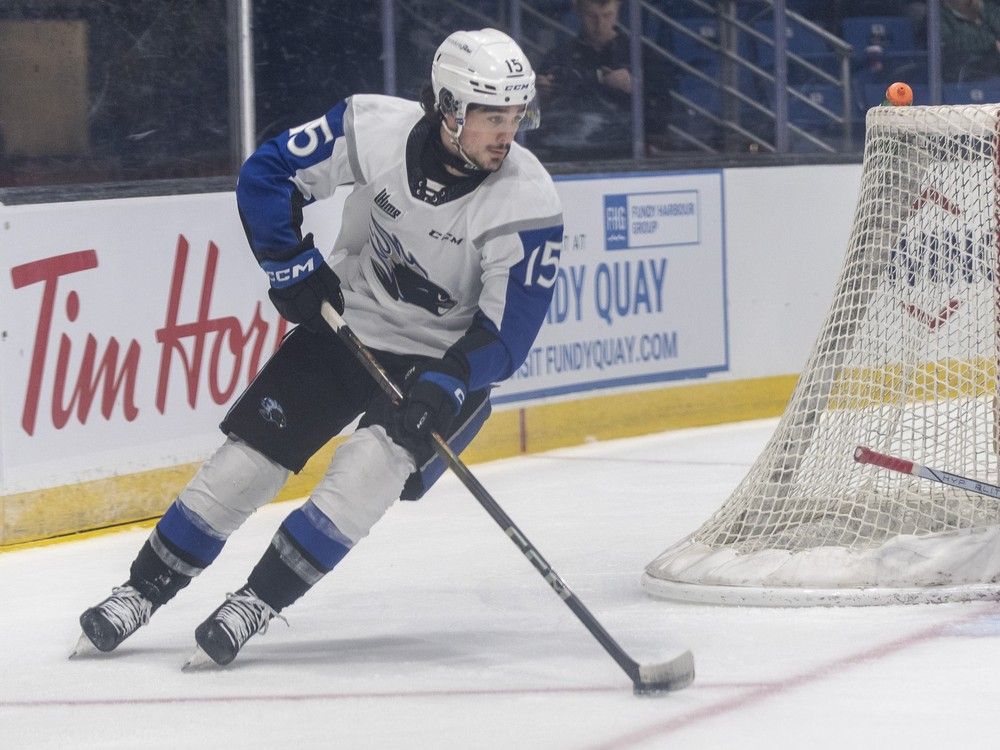 Sea Dogs set to face Drummondville | Telegraph-Journal