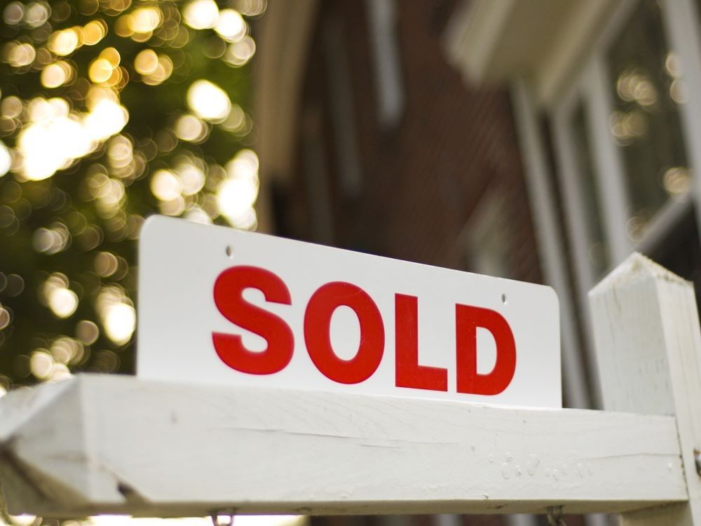 Newcomers column | Telegraph-Journal