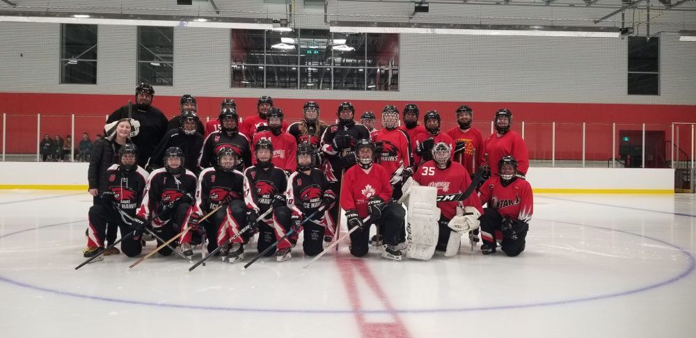 Sault Ice Hawks hostin the NER ringette tournament this weekend | Sault ...