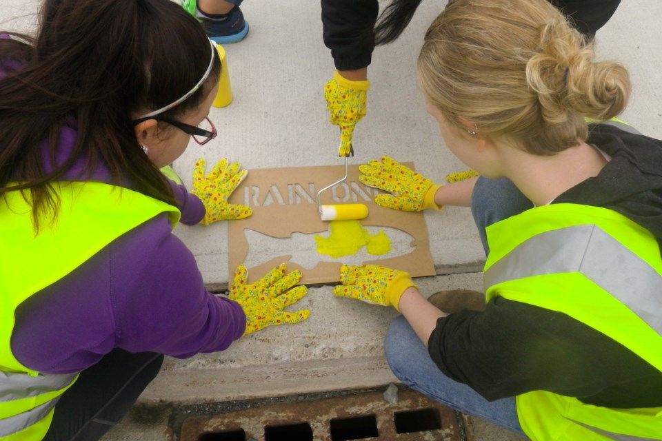 Program raises awareness of pollution entering waterways storm drains ...