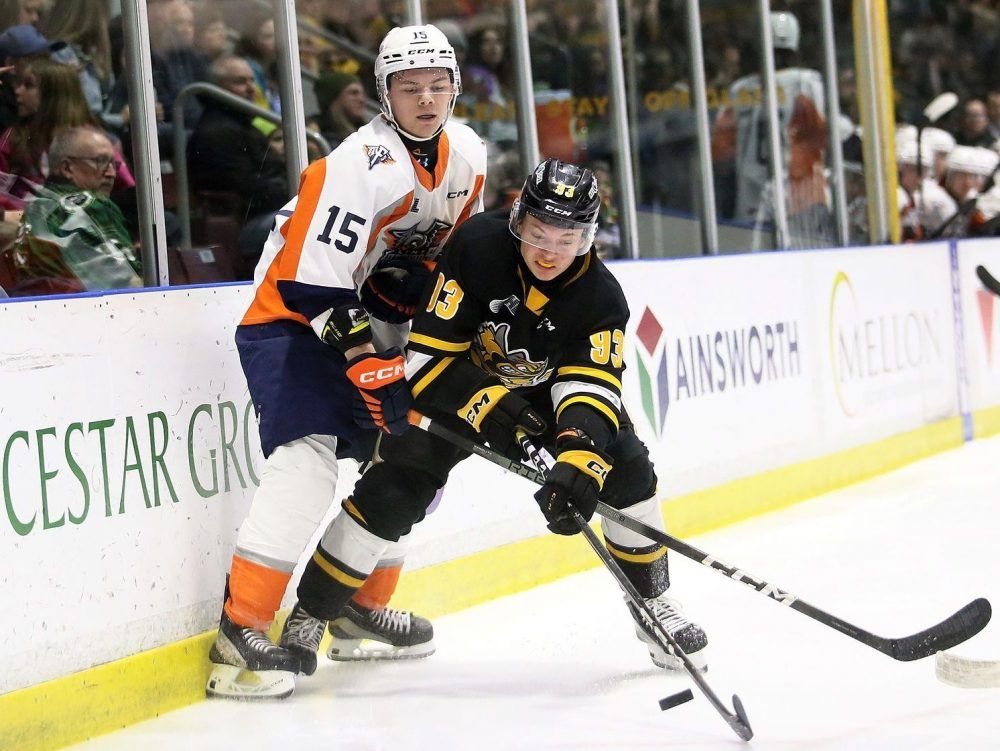 Young completes hat trick in overtime to snap Sting's skid | The Sarnia ...