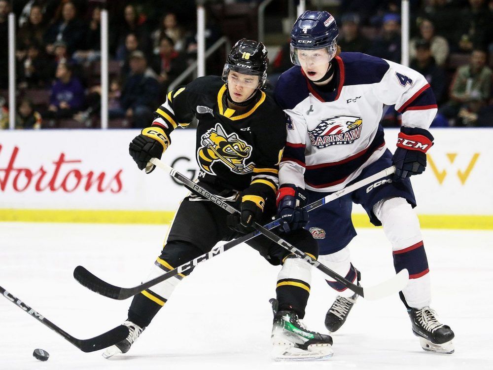 Sting put up fight before losing to Spirit | The Sarnia Observer