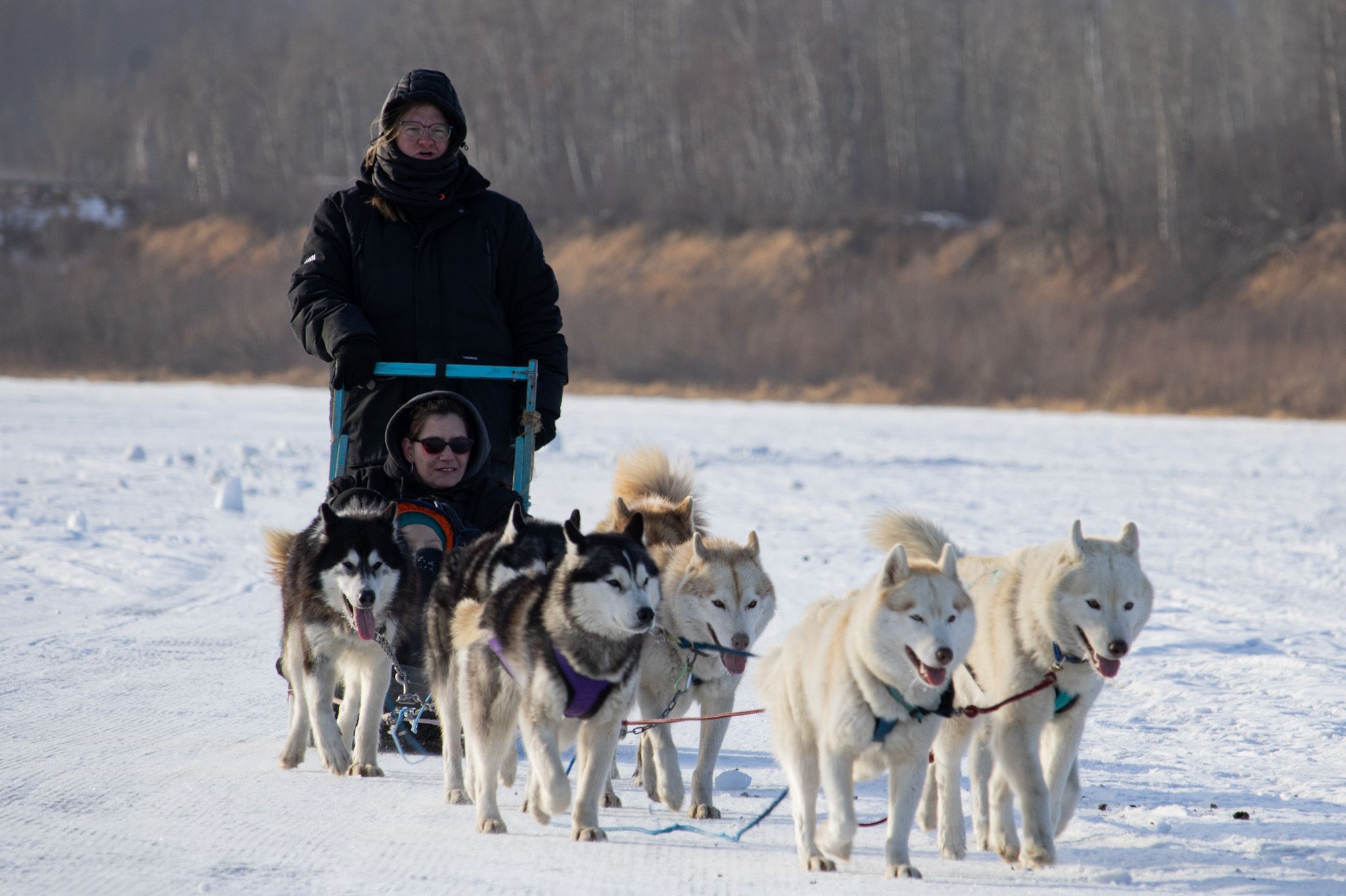 Weekly update: Wins for Huskies and Fort McKay First Nation; AER sued ...