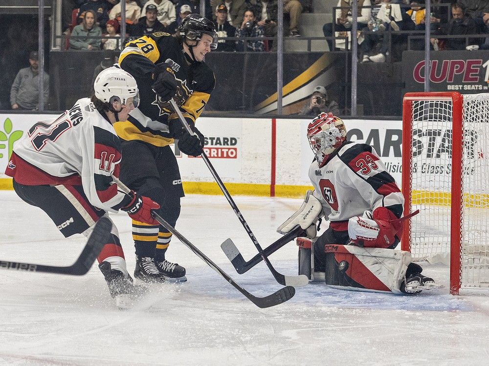 67's even series with Bulldogs | Brantford Expositor